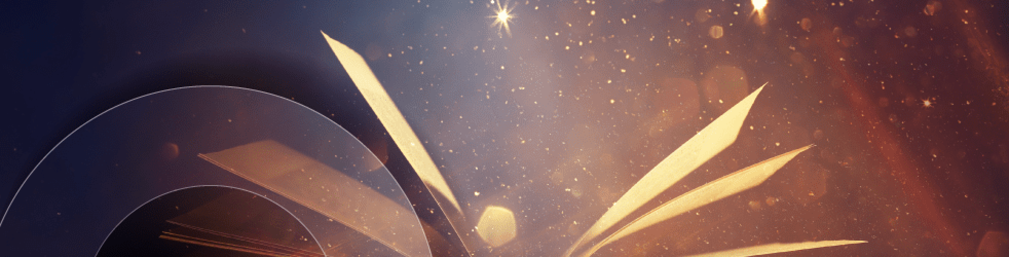 How Microsoft MVP Steve Weiner solves your toughest Microsoft ...